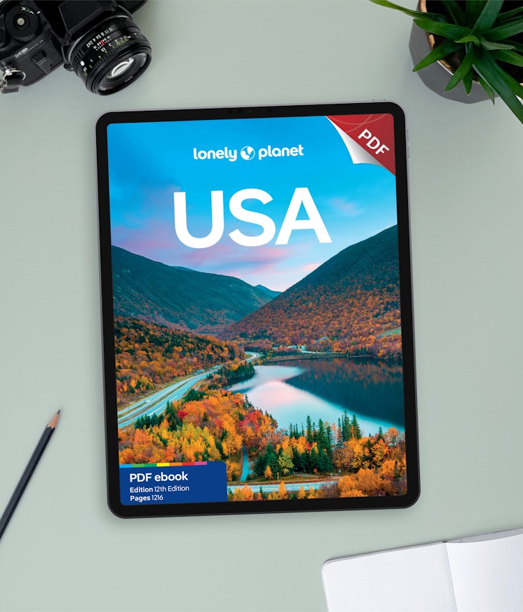 Ebook Offer - Lonely Planet