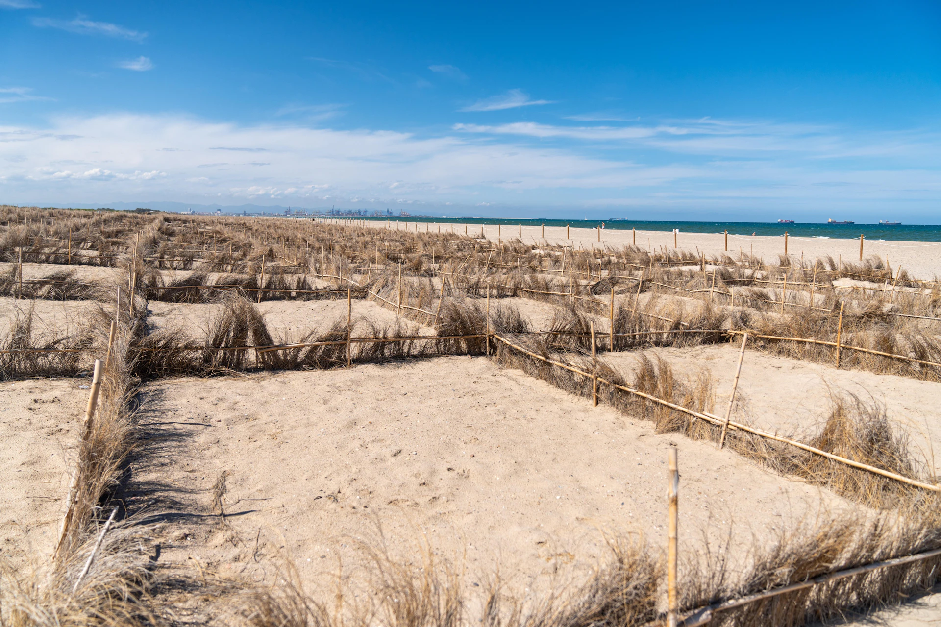 Valencia’s stunning parks and outdoor spaces - Lonely Planet